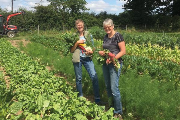 About The Farm - Clinks Care Farm