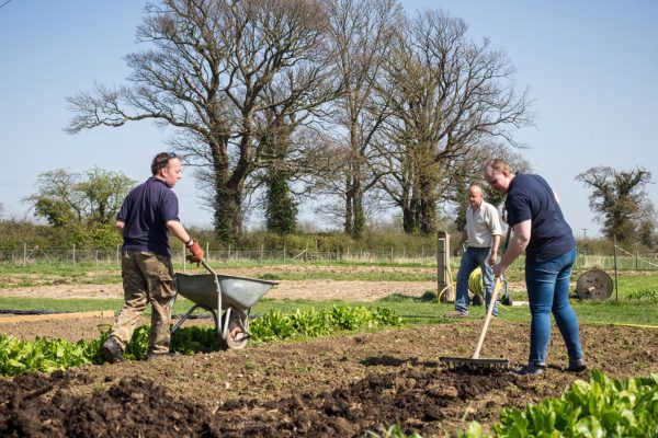 About The Farm - Clinks Care Farm