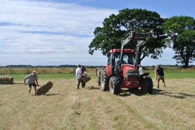 Farm Therapy - Clinks Care Farm