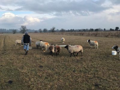 Farm Therapy - Clinks Care Farm