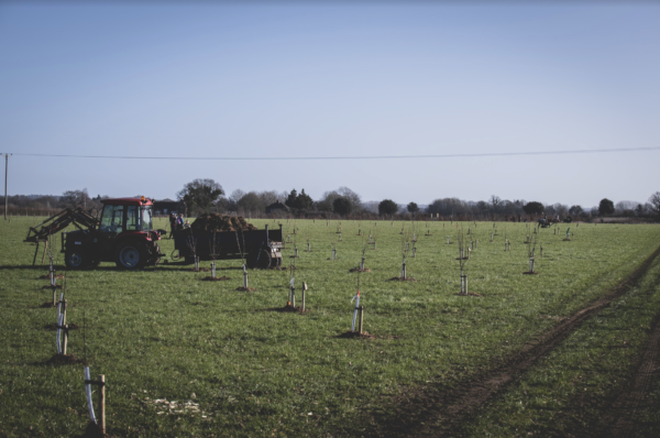 About The Farm - Clinks Care Farm