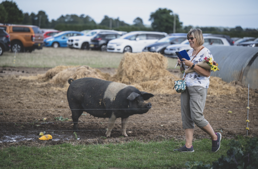 Open Day: The Gallery - Clinks Care Farm