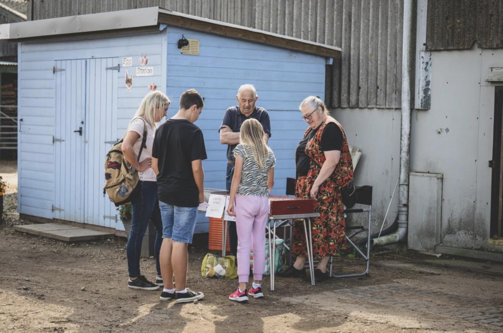 Open Day: The Gallery - Clinks Care Farm