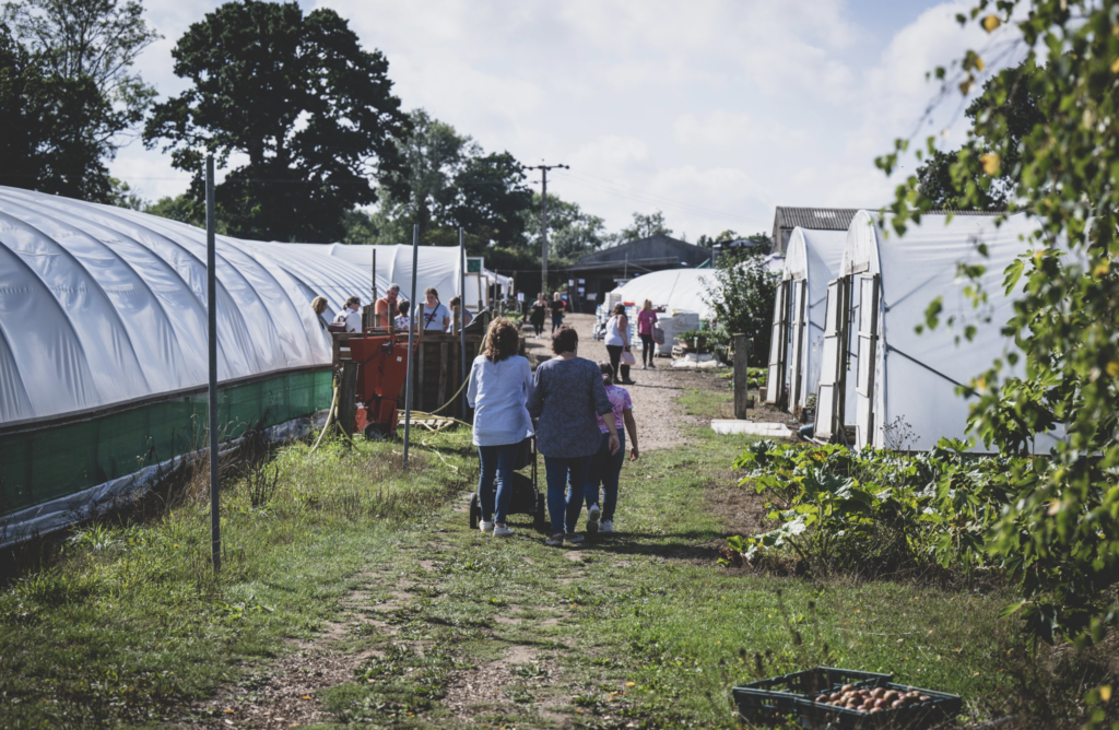 Open Day: The Gallery - Clinks Care Farm